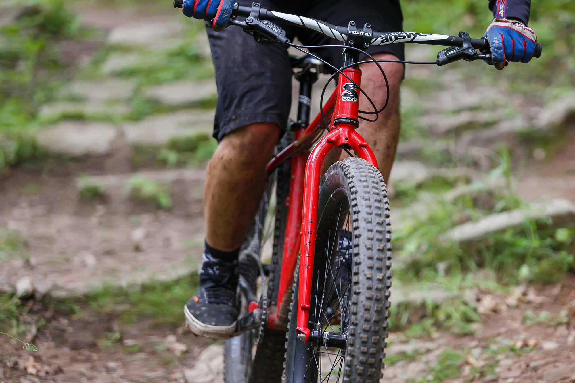 Dear Surly, What Mountain Bike Tires Do You Recommend? – Surly Bikes